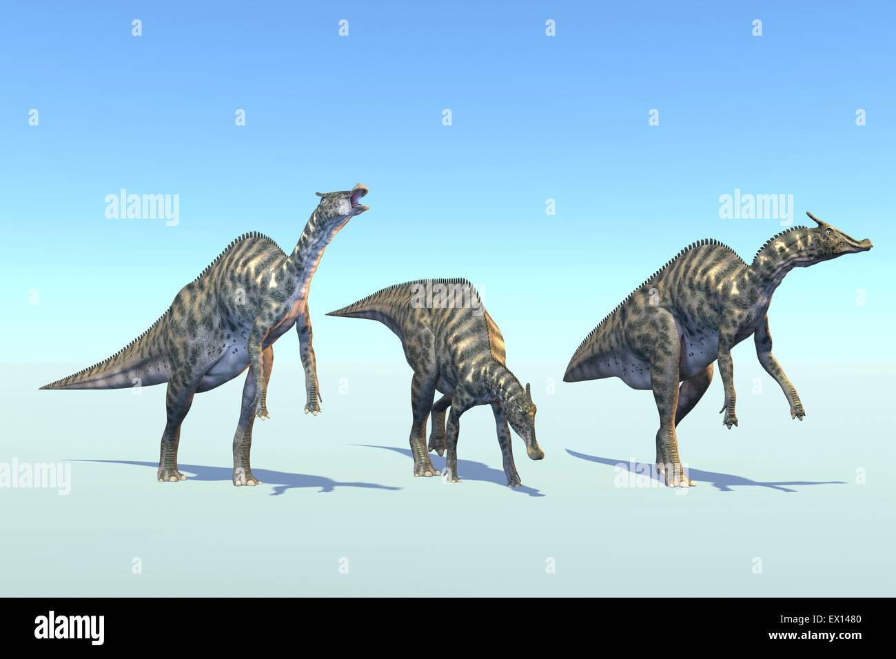 Saurolophus hi-res stock photography and images - Alamy