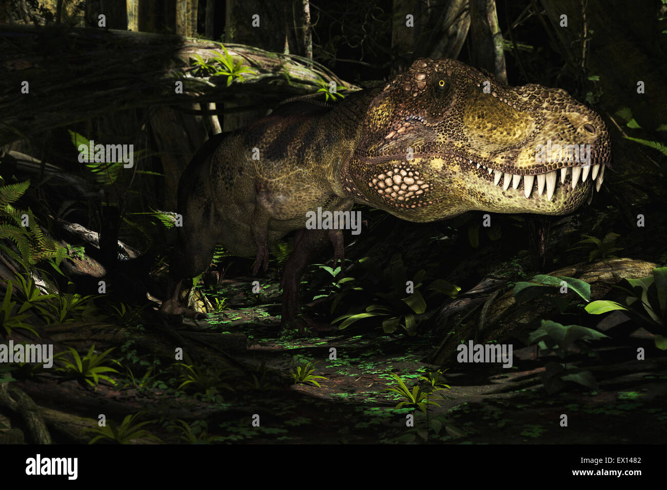 Tyrannosaurus rex, computer illustration Stock Photo - Alamy