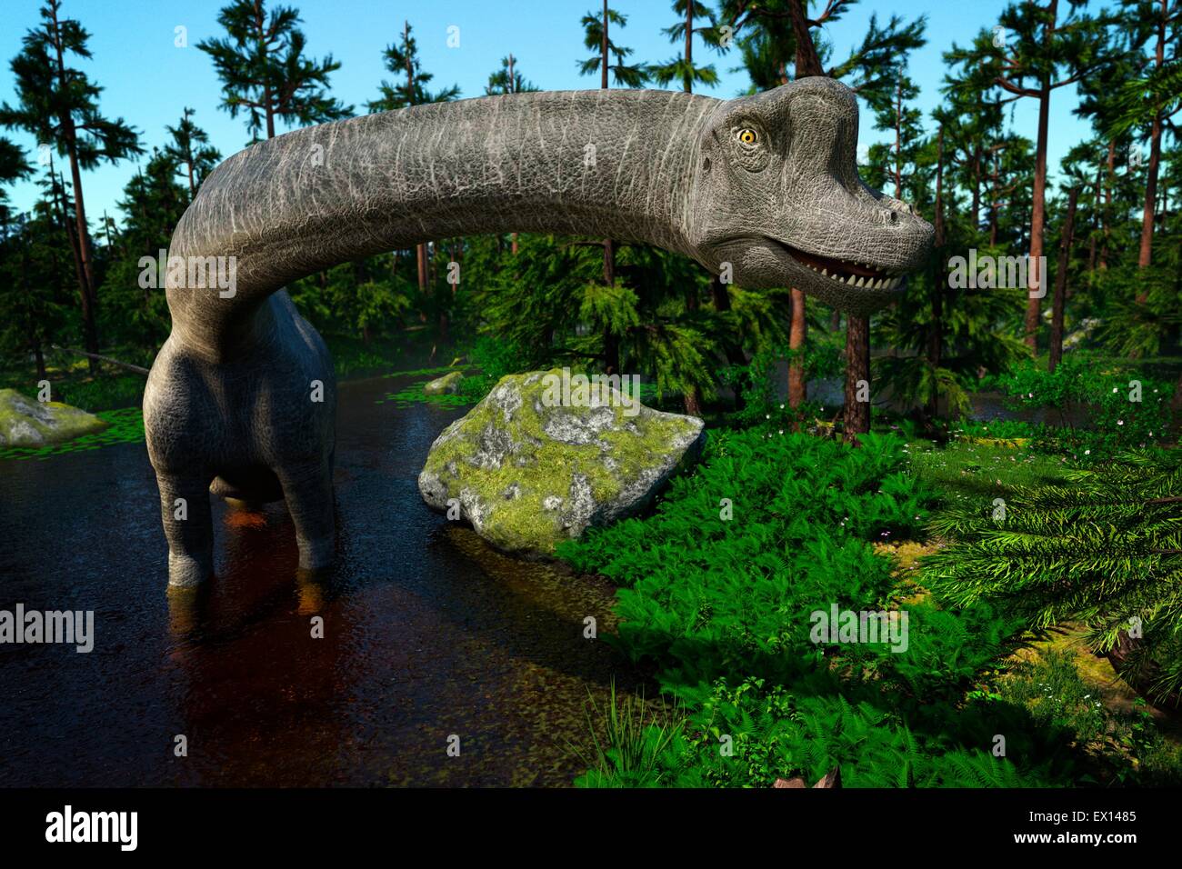 Brachiosaurus, computer illustration Stock Photo - Alamy