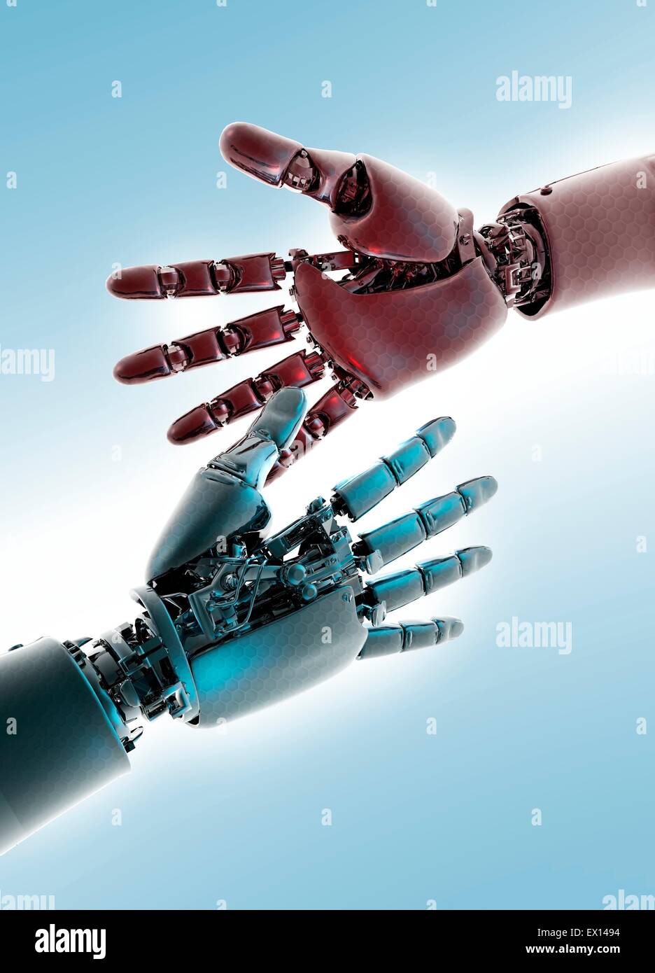Two robotic hands reaching towards each other, computer illustration ...