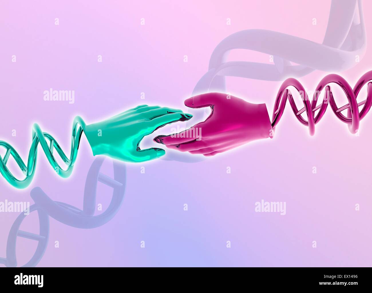 Green and pink hands reaching towards each other with double helix ...