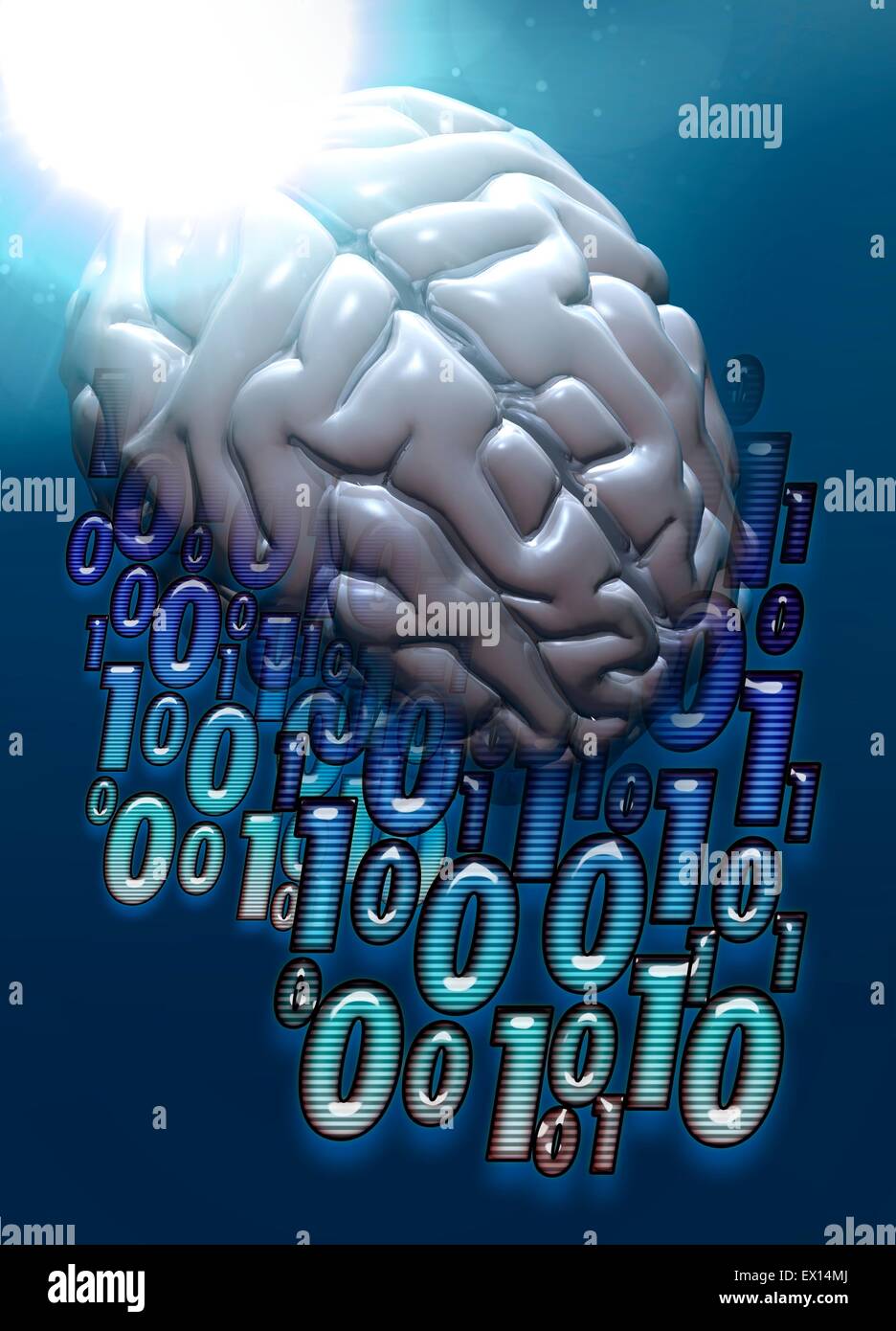 Brain binary code hi-res stock photography and images - Alamy