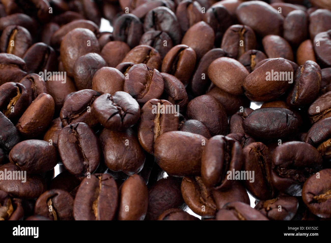 Shallow focus macro shot roasted hi-res stock photography and images ...