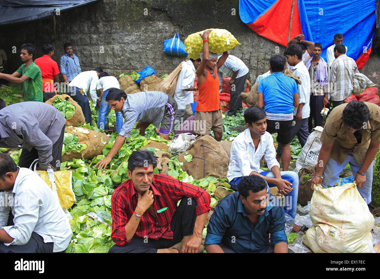 Cold storage india hi-res stock photography and images - Alamy