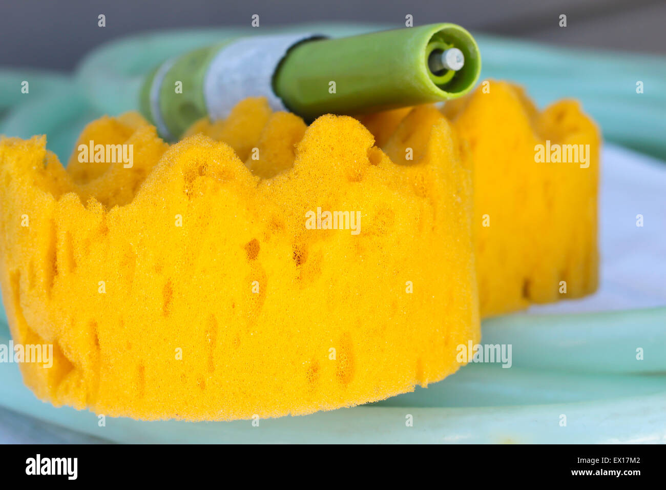 Sponge bubble hi-res stock photography and images - Alamy
