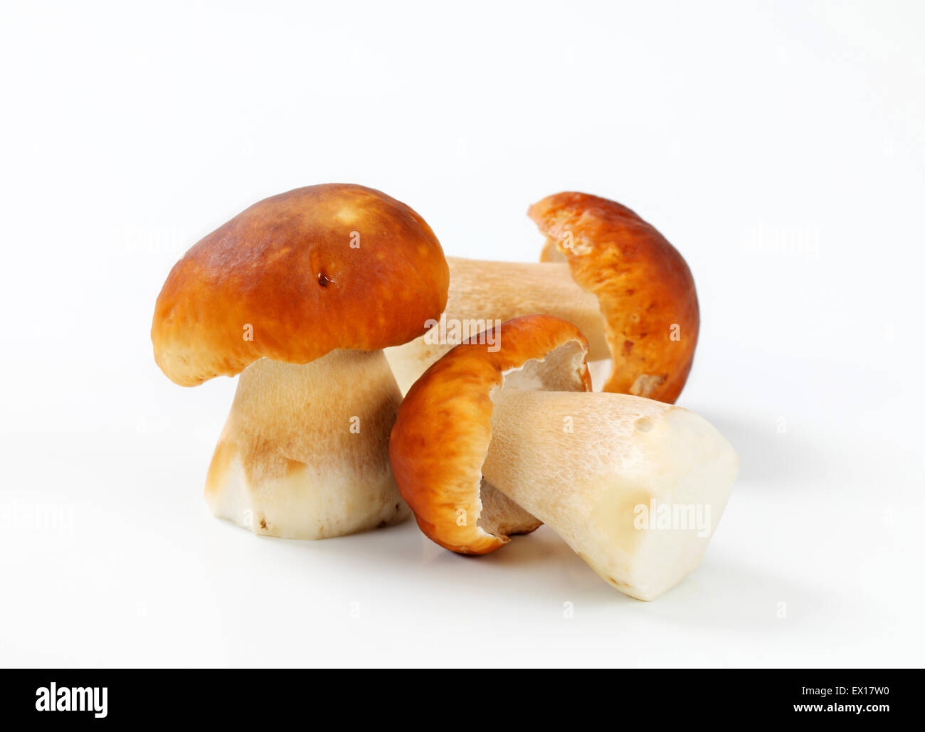 Brown cap porcini mushrooms Cut Out Stock Images & Pictures - Alamy