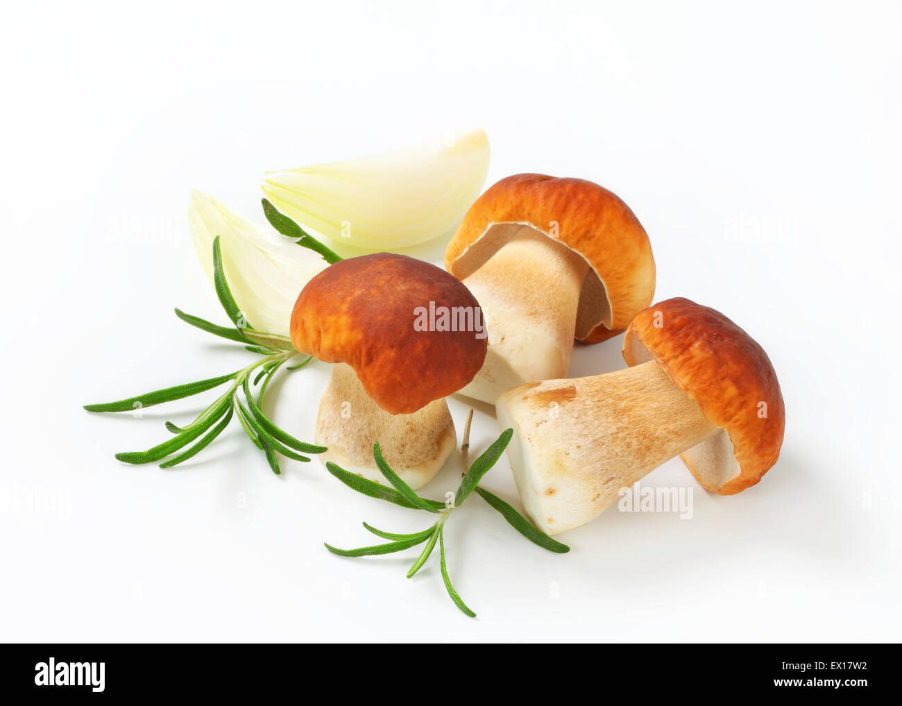 Studio shot of fresh porcini mushrooms Stock Photo - Alamy