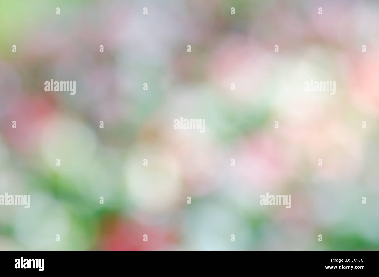 abstract defocused nature multicolored background Stock Photo - Alamy