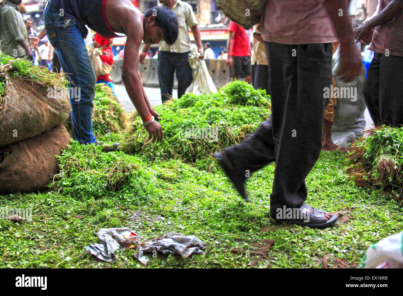 Aug. 22, 2014 - 22 aug 2014 - Mumbai, India :.Sorting of vegetables at ...