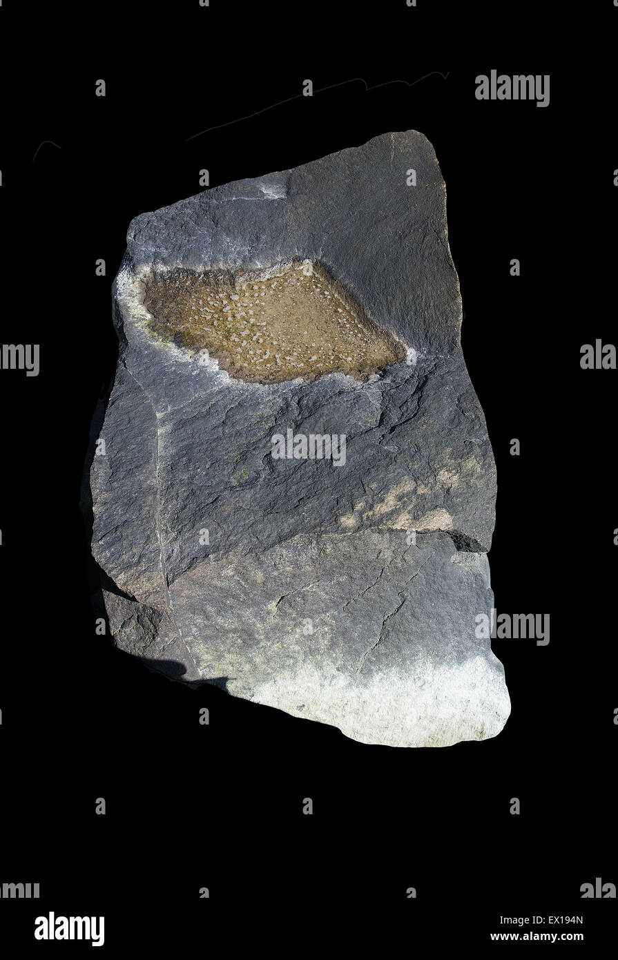 Alien looking rock face with water filled eye cavity antropomorphic ...