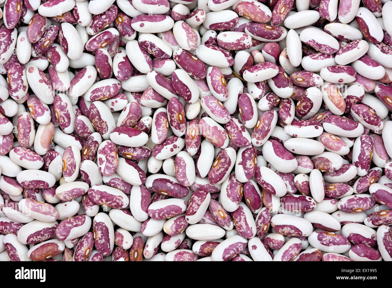 Pink Colored Beans Jelly Belly Barbie Pink Jelly Beans 60g