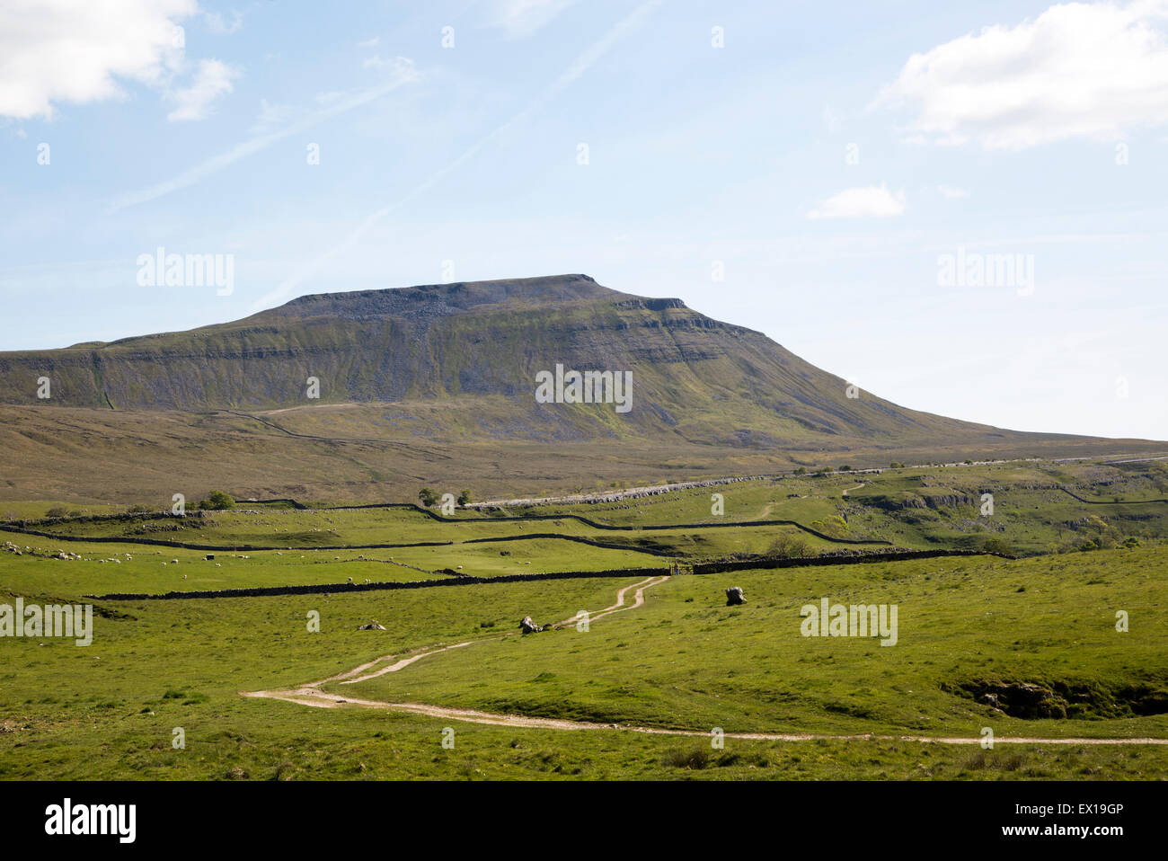 Carboniferous limestone scenery, Ingleborough Hill, Yorkshire Dales ...