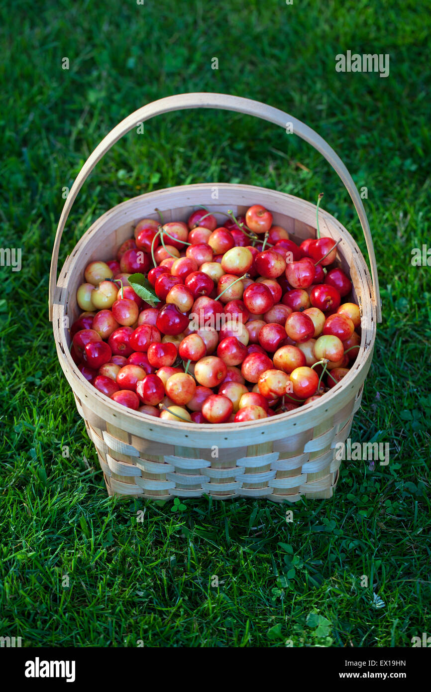Sweet basket hi-res stock photography and images - Alamy