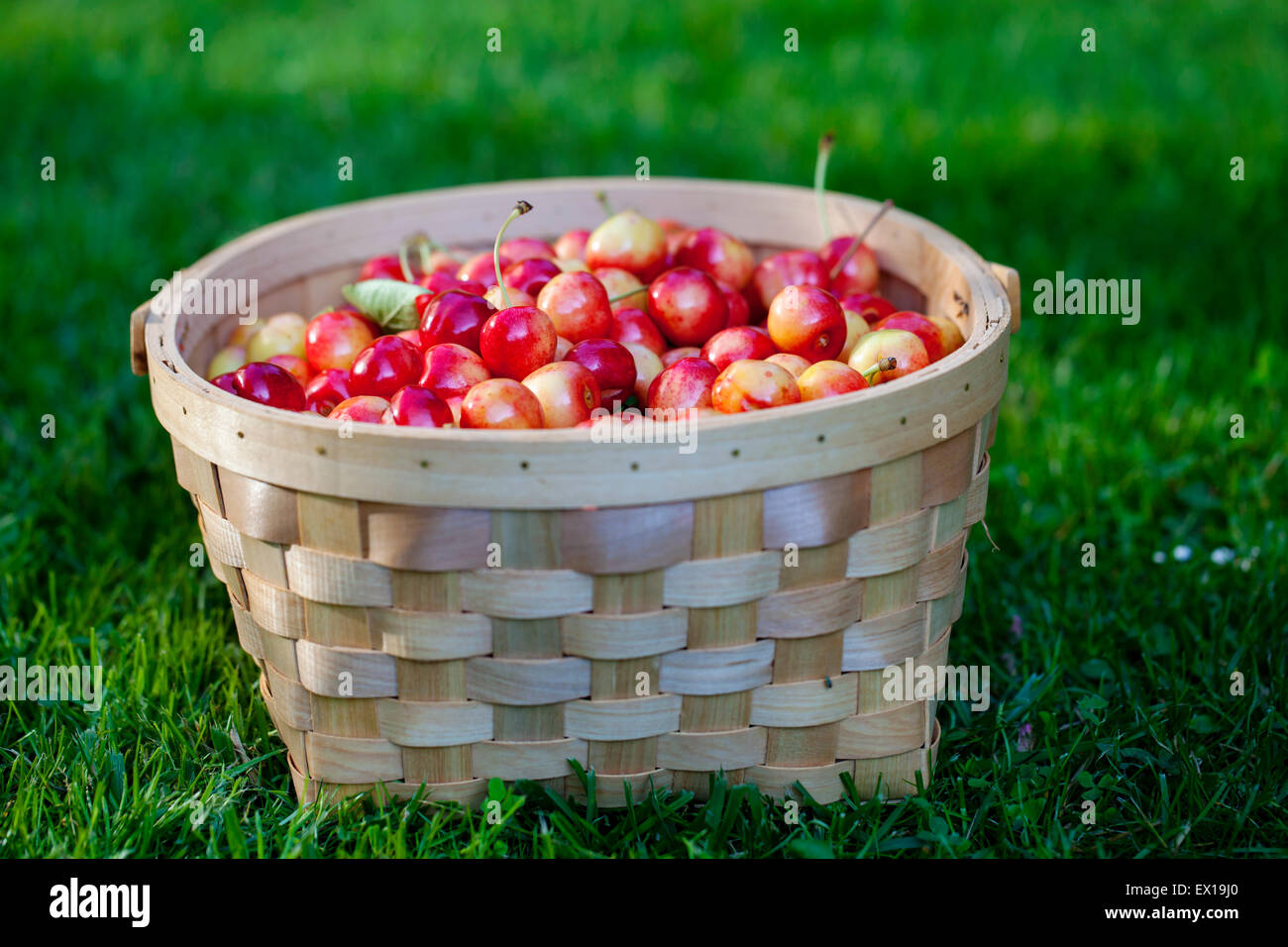 Sweet basket hi-res stock photography and images - Alamy