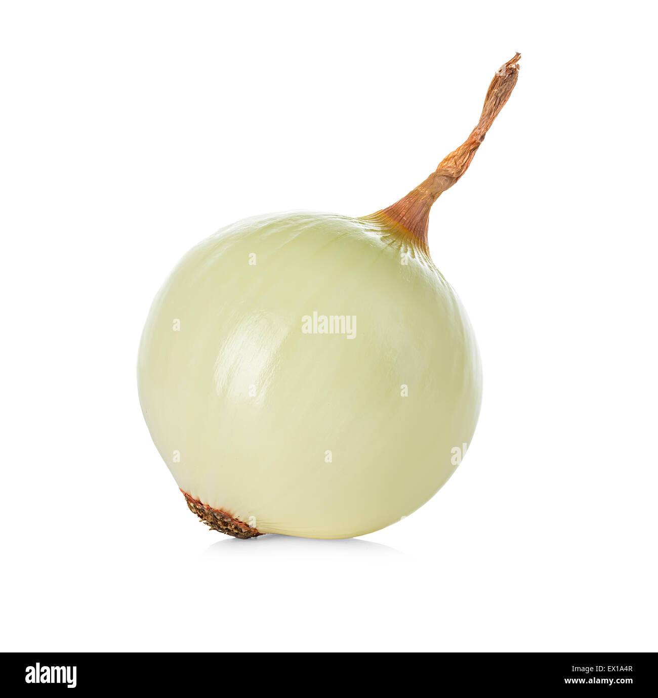 Whole onion peeled on Cut Out Stock Images & Pictures - Alamy