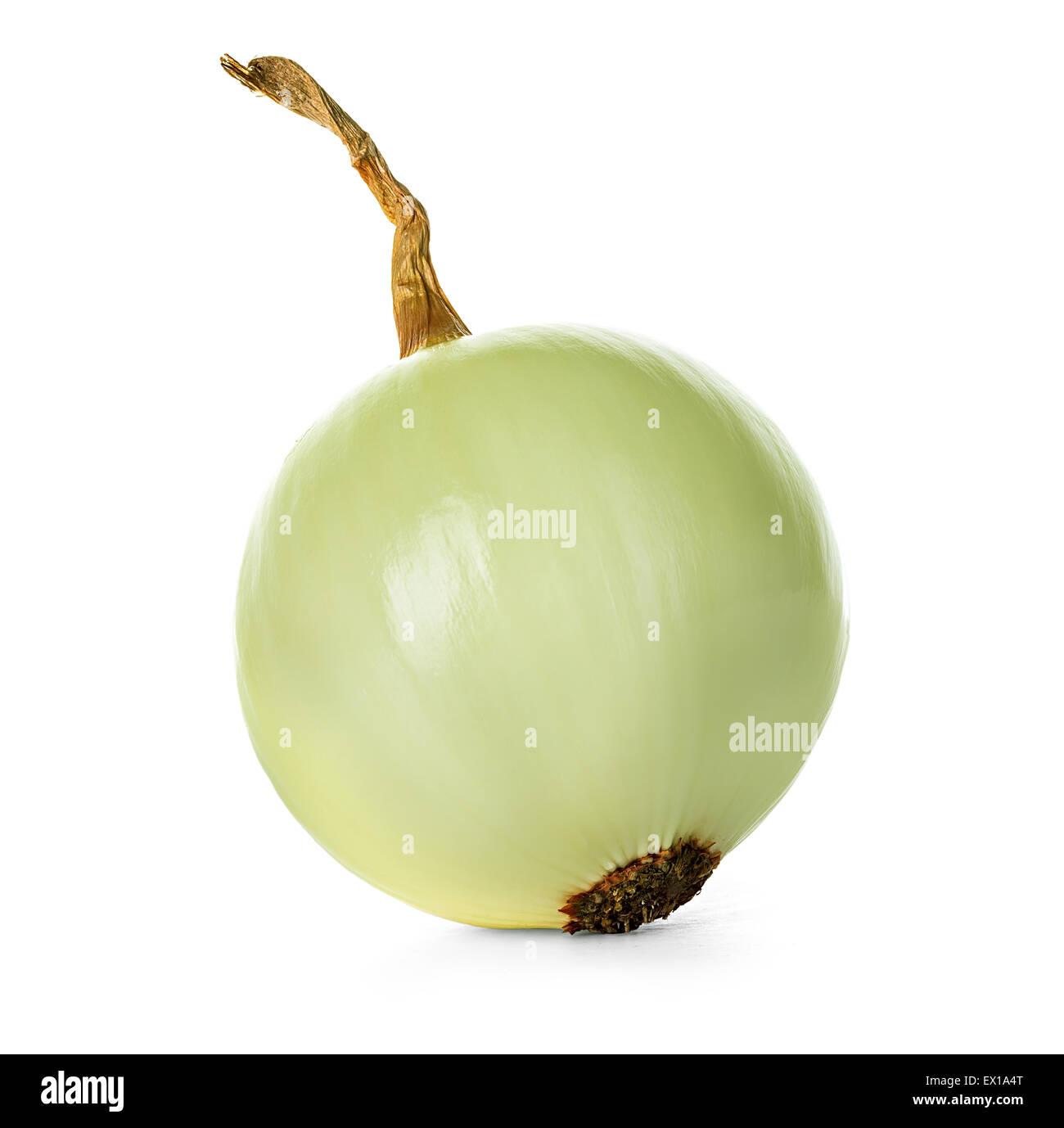 Whole onion peeled on Cut Out Stock Images & Pictures - Alamy
