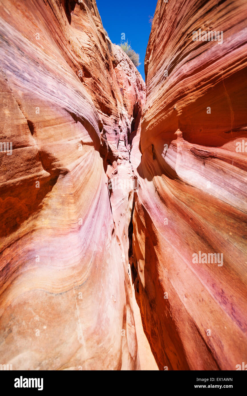 Canyon rock desert geology hiker hike hi-res stock photography and ...