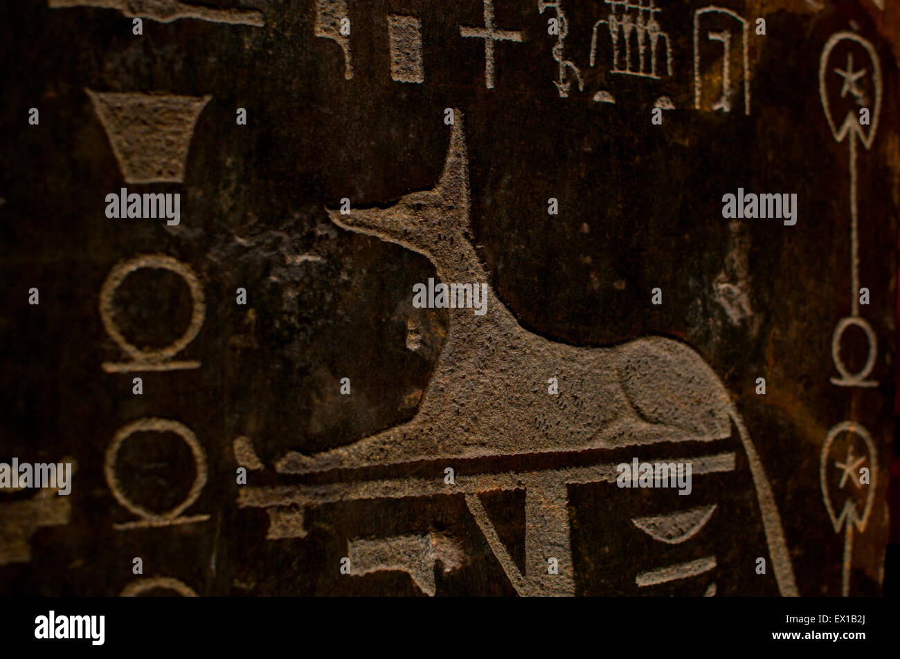 Hyroglyphs hi-res stock photography and images - Alamy