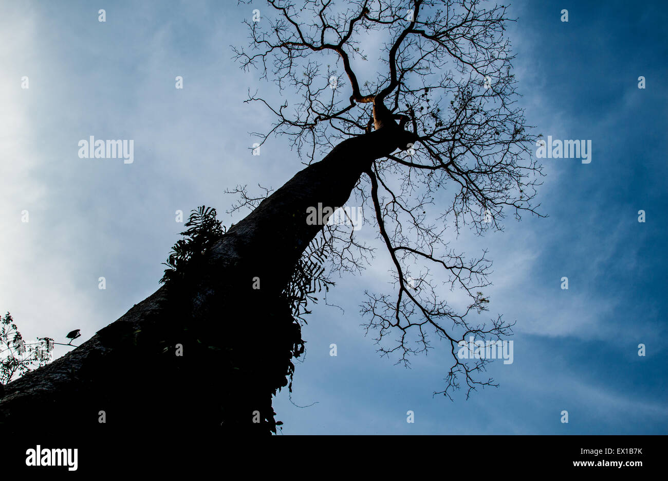 Dark death dead hi-res stock photography and images - Alamy