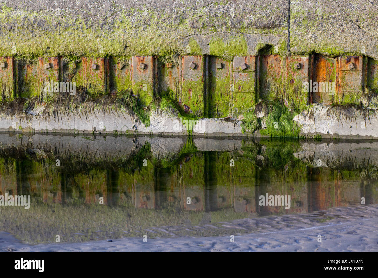 wooden and metal Groyne and with seaweed Stock Photo - Alamy