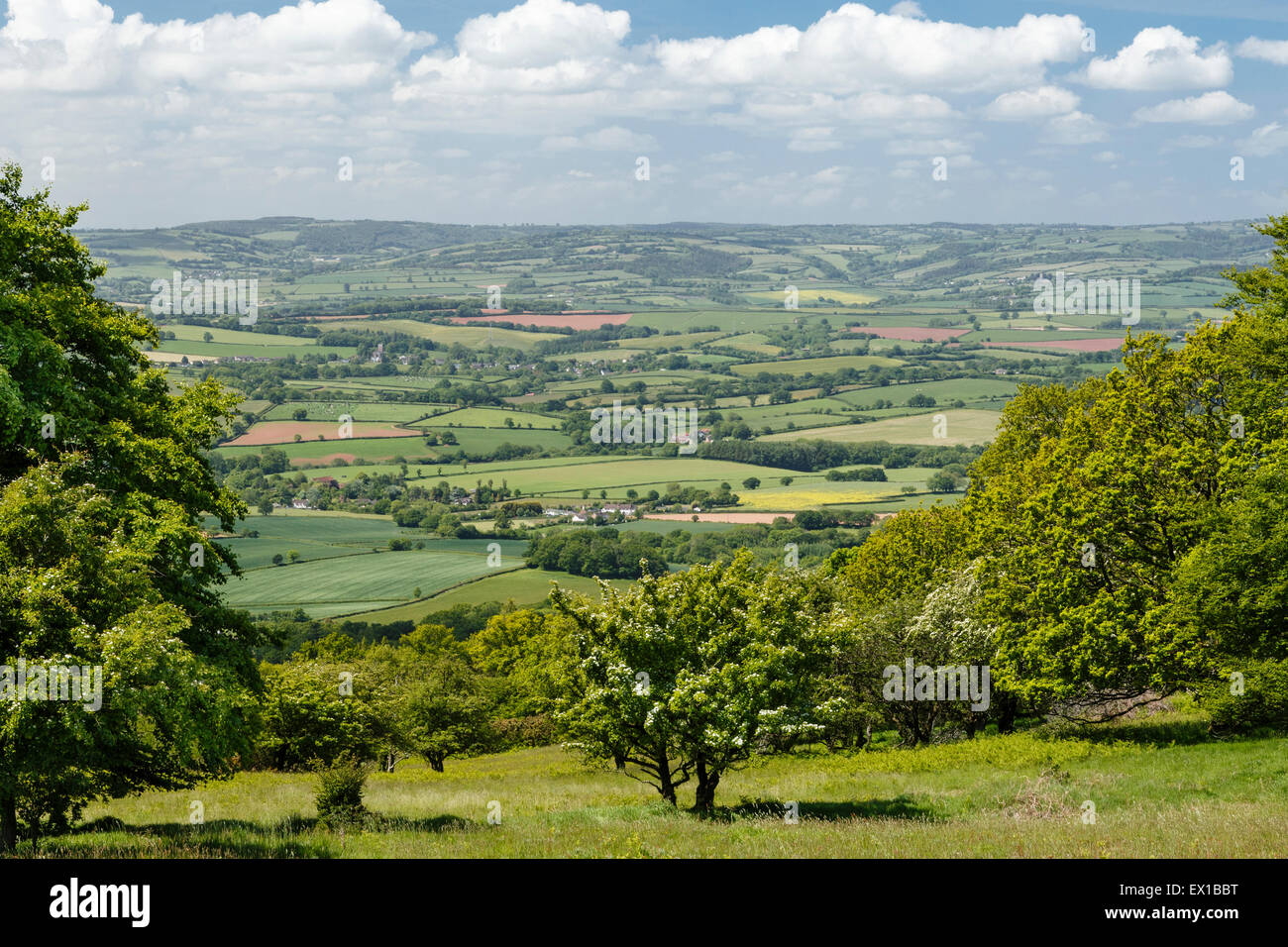 View looking West from Lydeard Hill on the Quantocks Stock Photo - Alamy