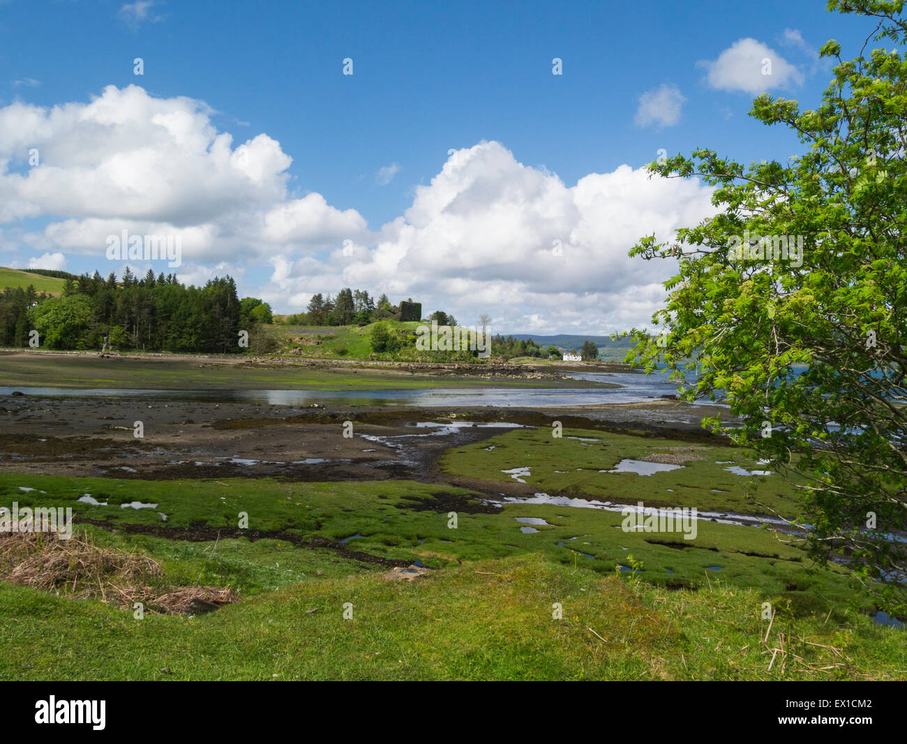 Aros Castle or Dounarwyse Castle a ruined 13th-century castle near ...