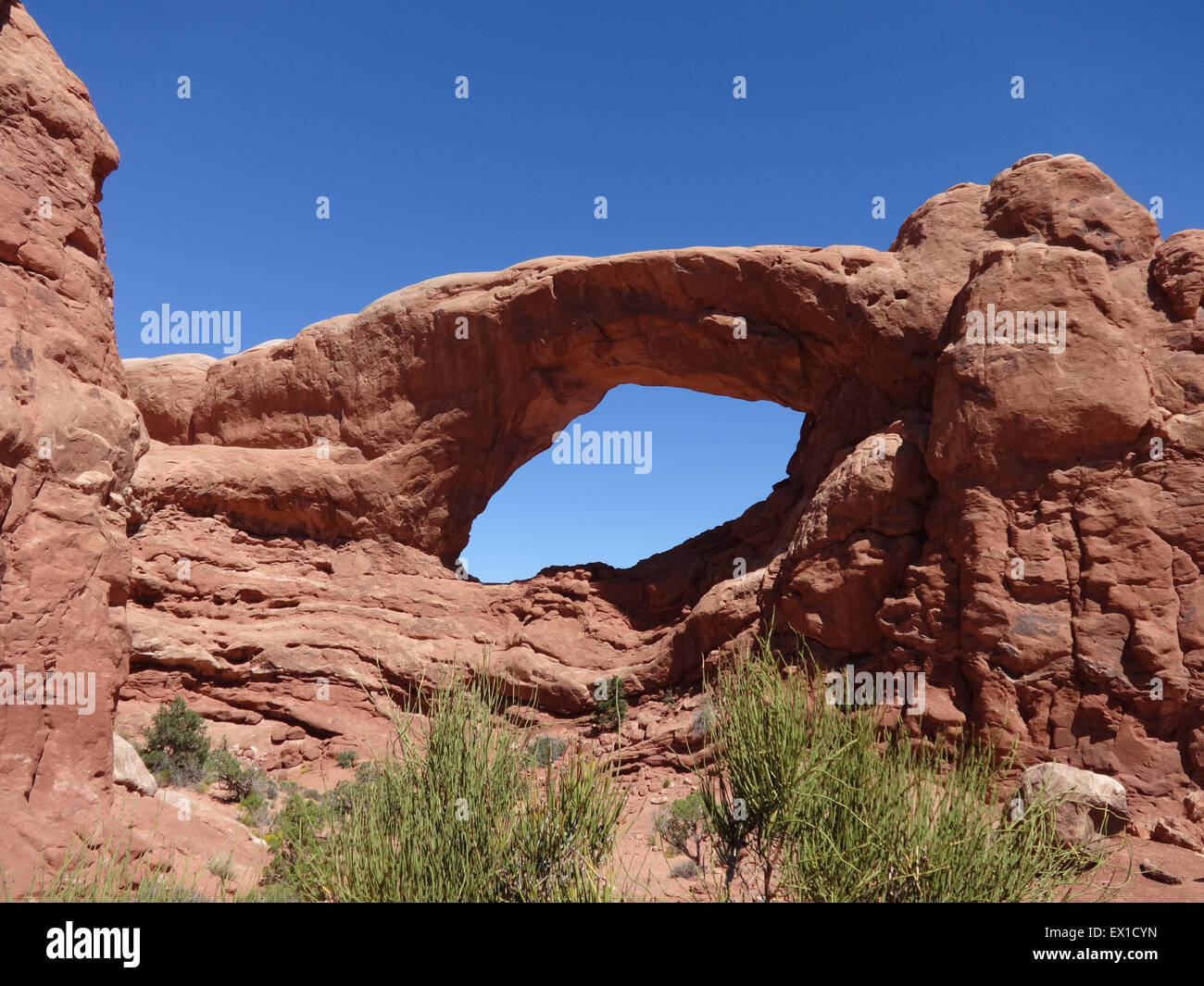 The famous Arches national park in the USA Stock Photo - Alamy