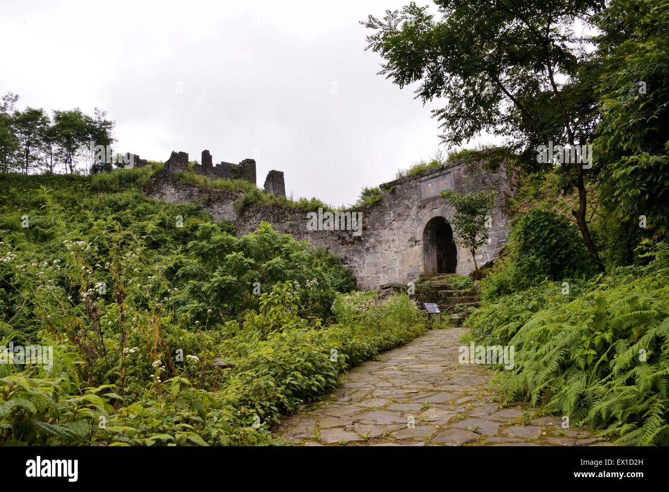 Tusi china hi-res stock photography and images - Alamy