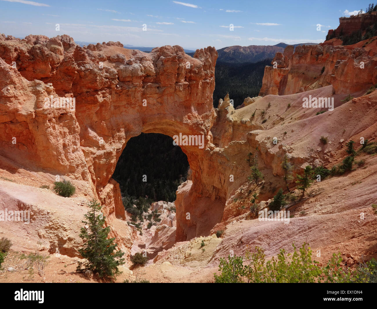 Impressive nature in Bryce Canyon National Park Stock Photo - Alamy