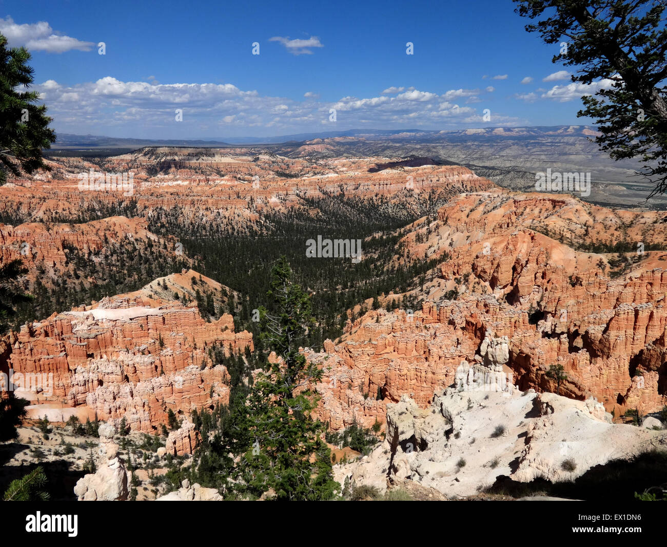 Impressive nature in Bryce Canyon National Park Stock Photo - Alamy