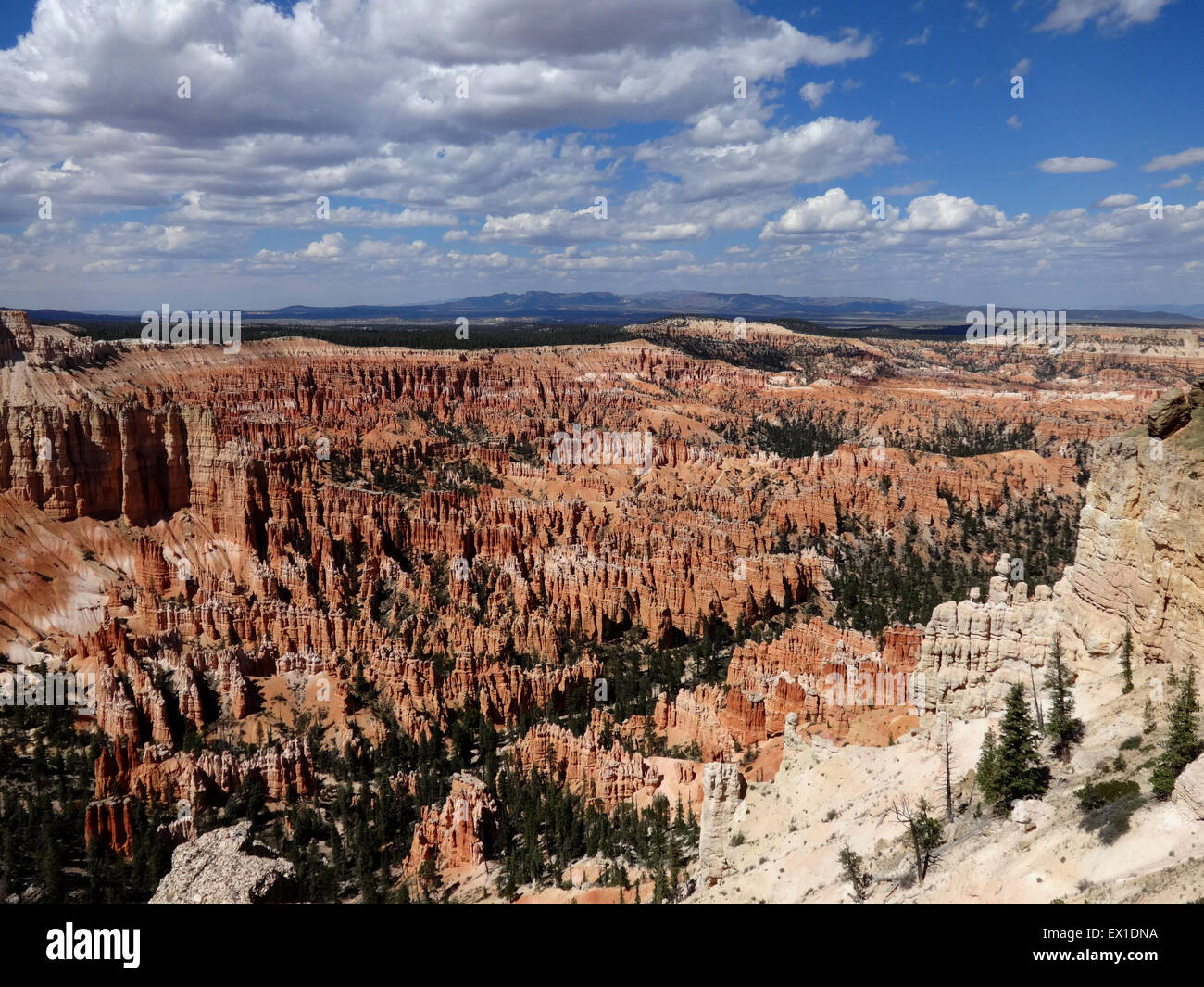 Impressive nature in Bryce Canyon National Park Stock Photo - Alamy