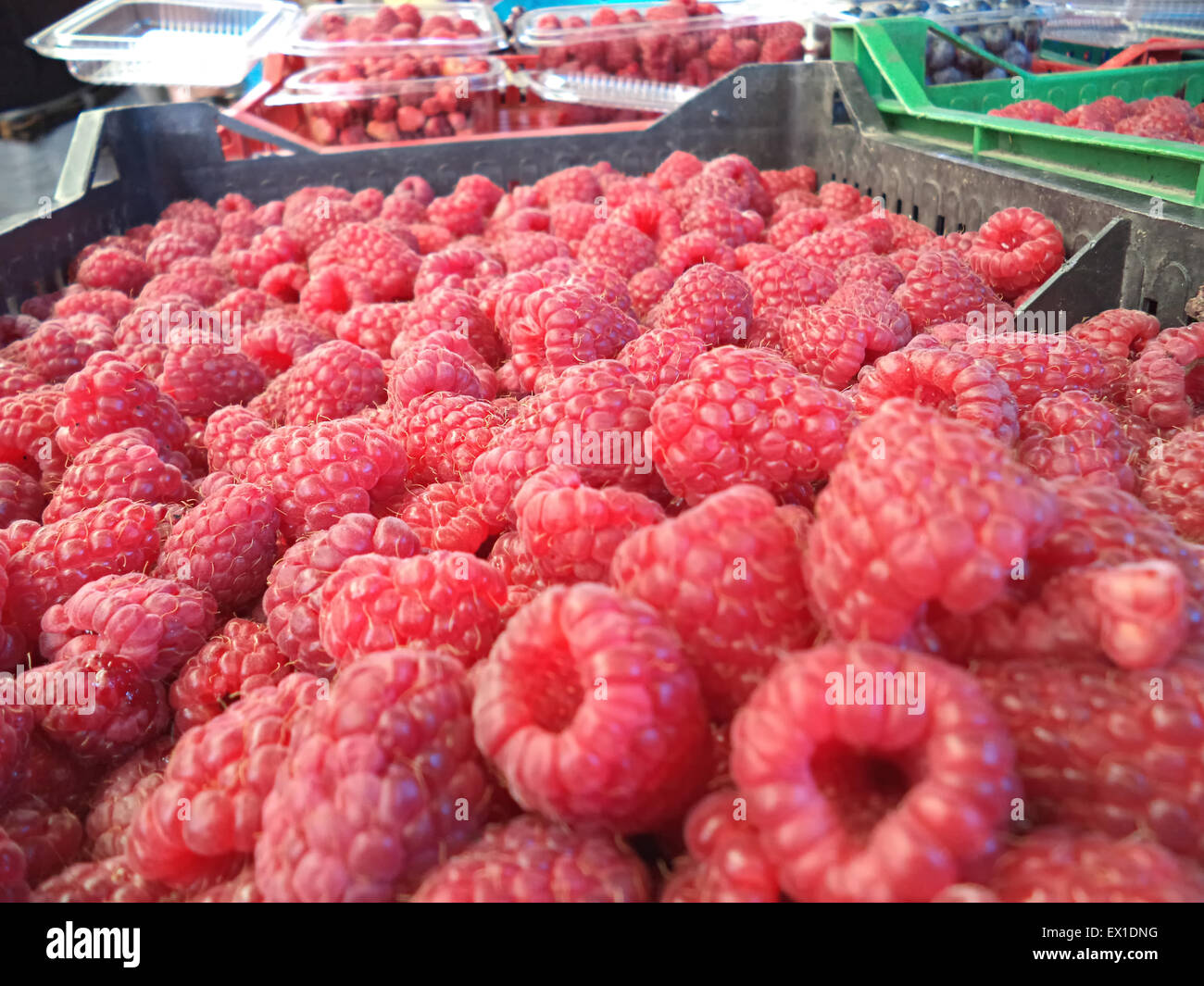 Natural organic raspberries in hi-res stock photography and images - Alamy