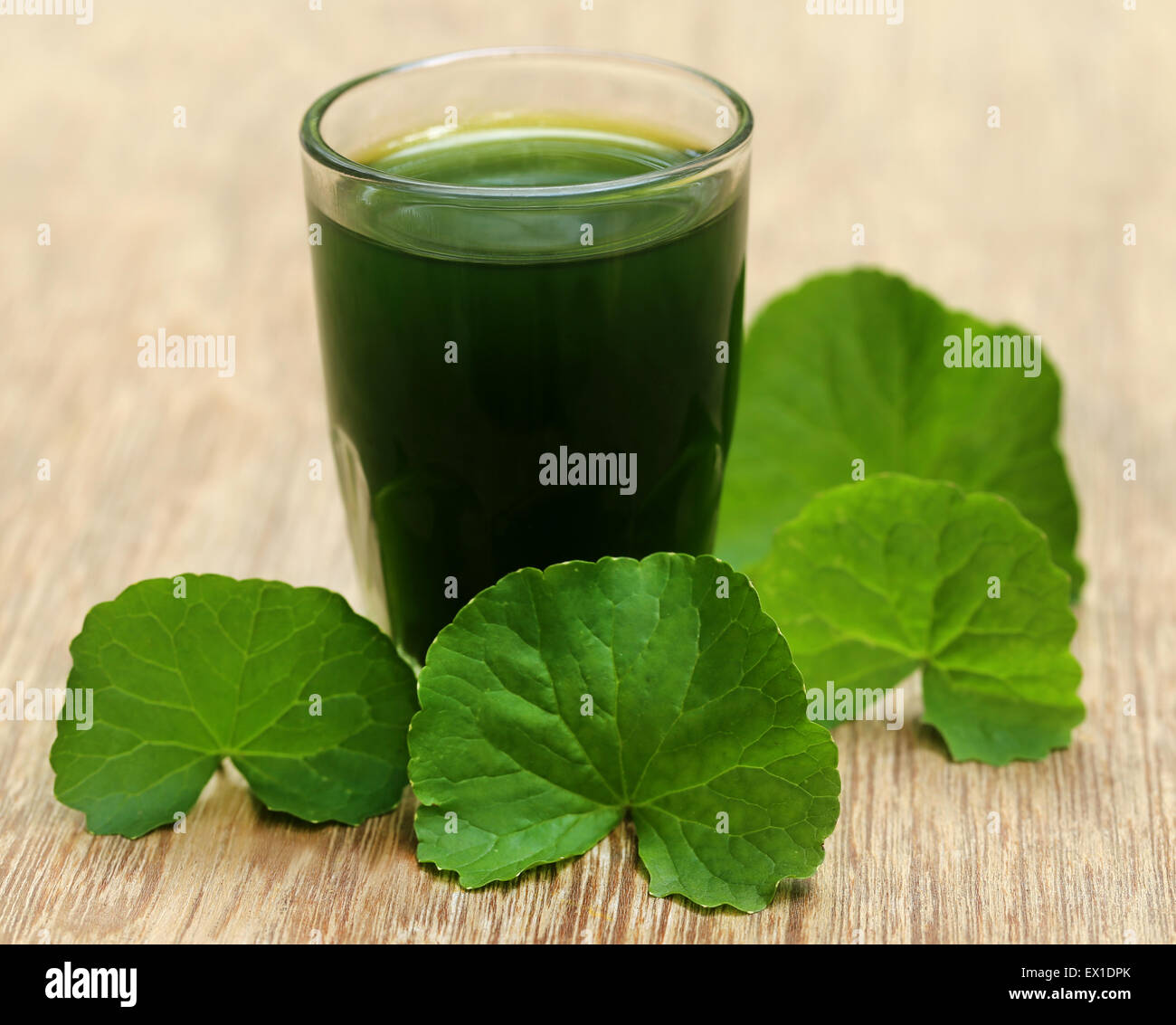 Medicinal thankuni leaves of Indian subcontinent with extract Stock ...