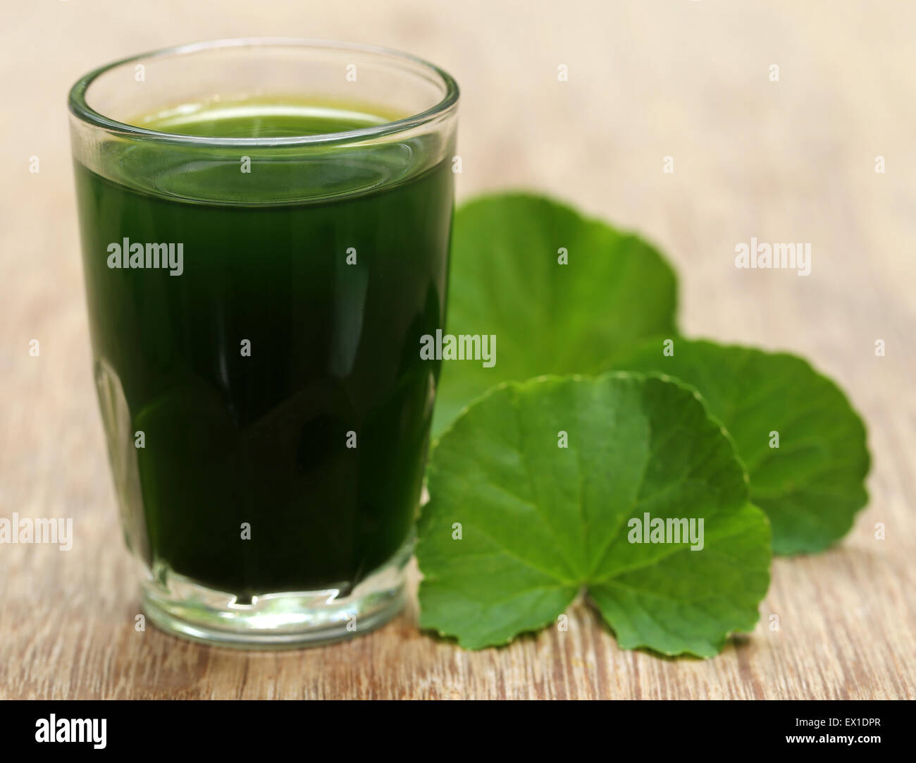 Medicinal thankuni leaves of Indian subcontinent with extract Stock ...