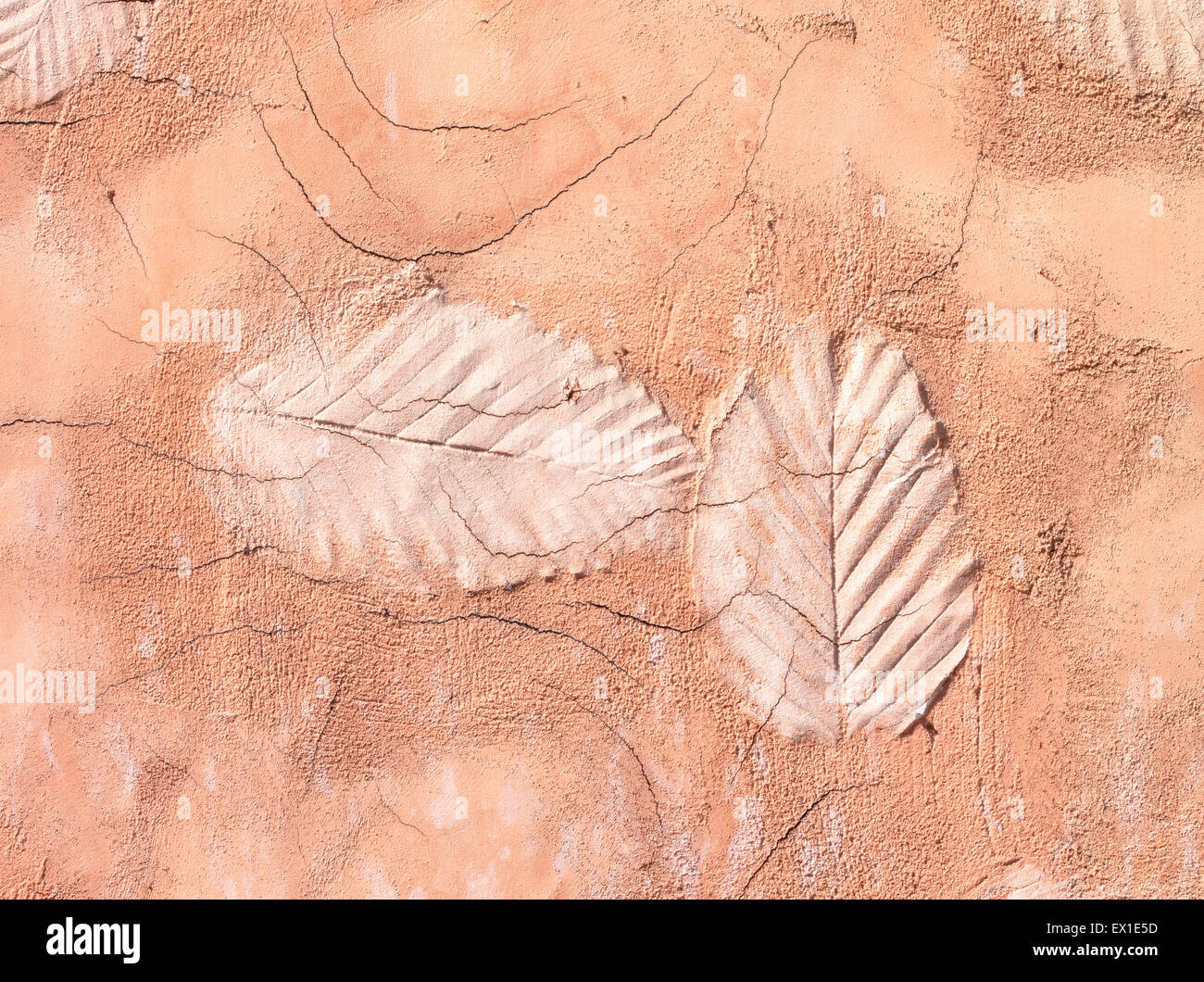 Leaf shape cement floor wall background texture pattern Stock Photo - Alamy