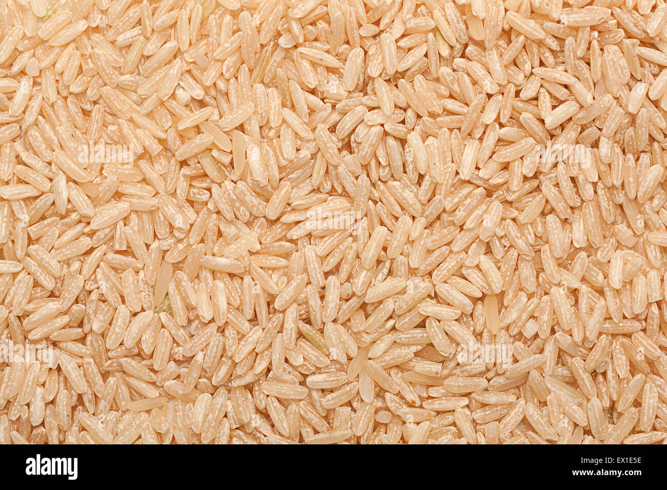 Unpolished rice seed closeup isolated on white Stock Photo - Alamy