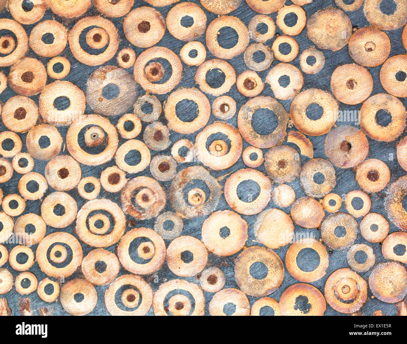 Black wooden wall made from the bamboo and coconut shell Stock Photo ...