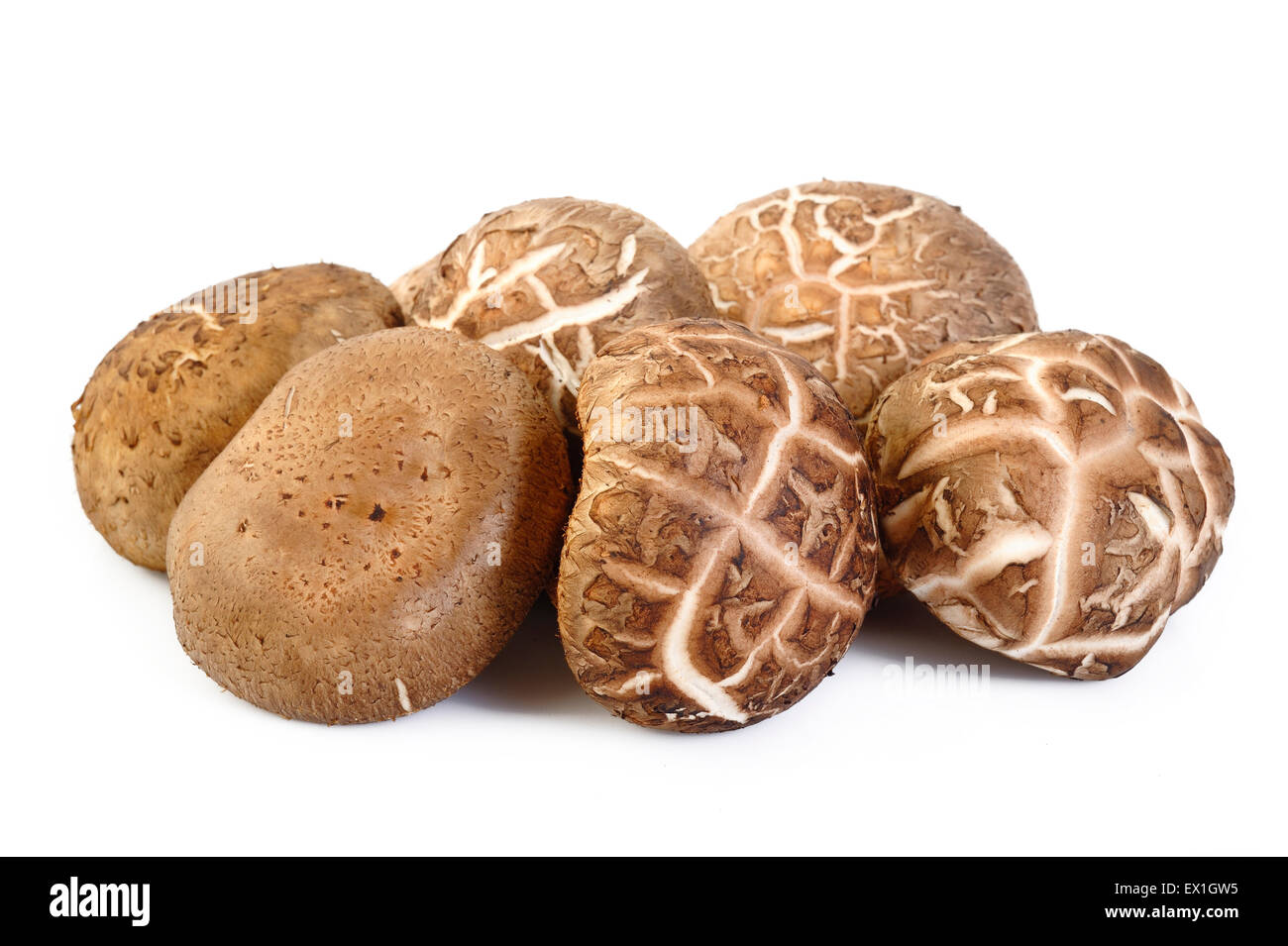 Fresh shiitake mushroom isolated on white background Stock Photo - Alamy