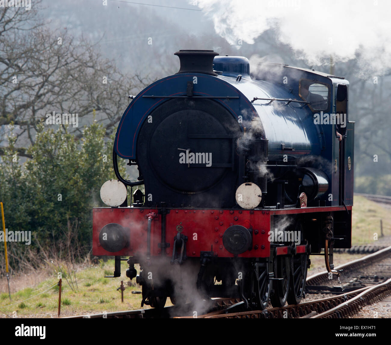 Saddle-tank steam locomotive, Isle of Wight, England, UK Stock Photo ...