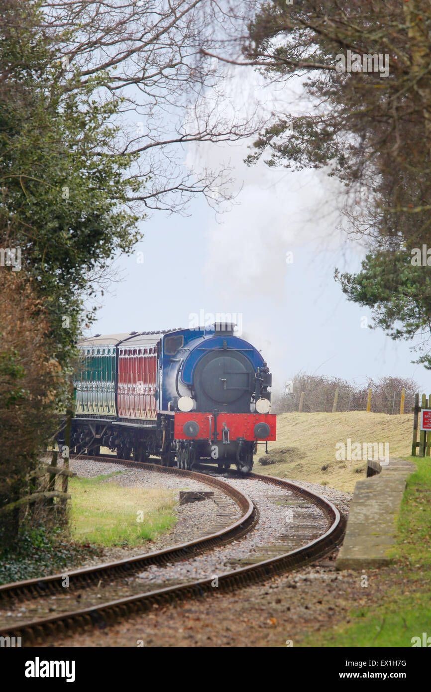 Saddle-tank steam locomotive heading a train, Isle of Wight, England ...