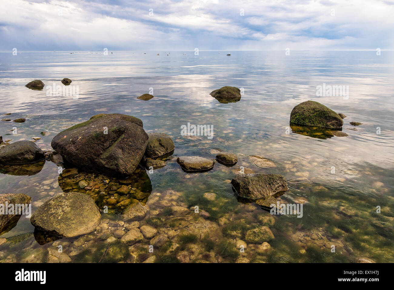 Foundlings on shore of the Baltic Sea Stock Photo - Alamy