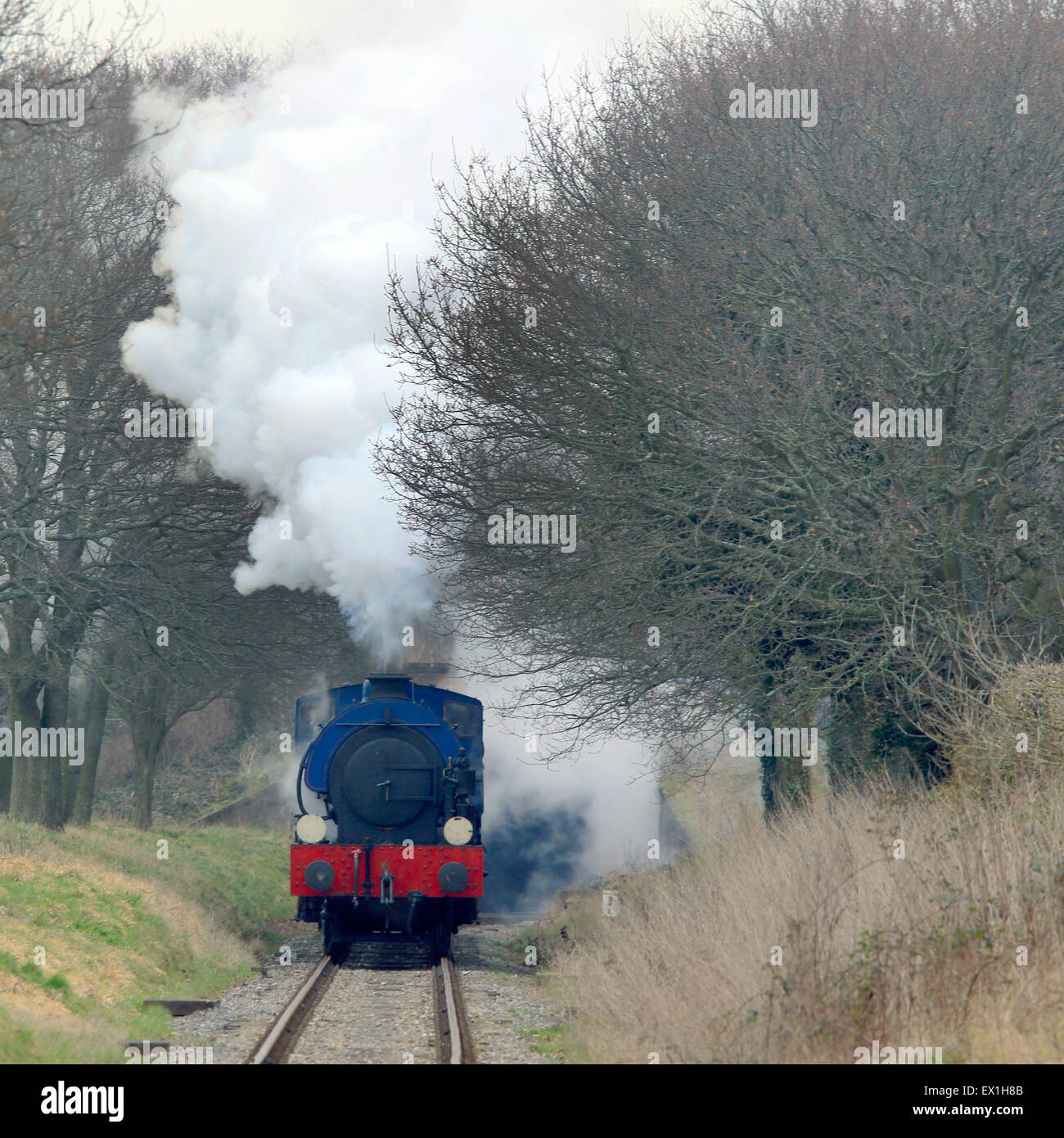 Saddle-tank steam locomotive heading a train, Isle of Wight, England ...