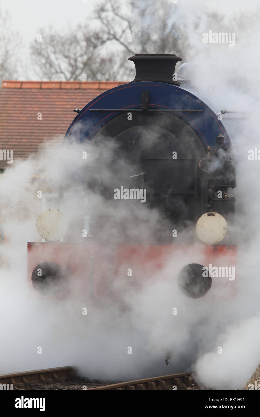 A steaming Saddle-tank steam locomotive, Isle of Wight, England, UK ...