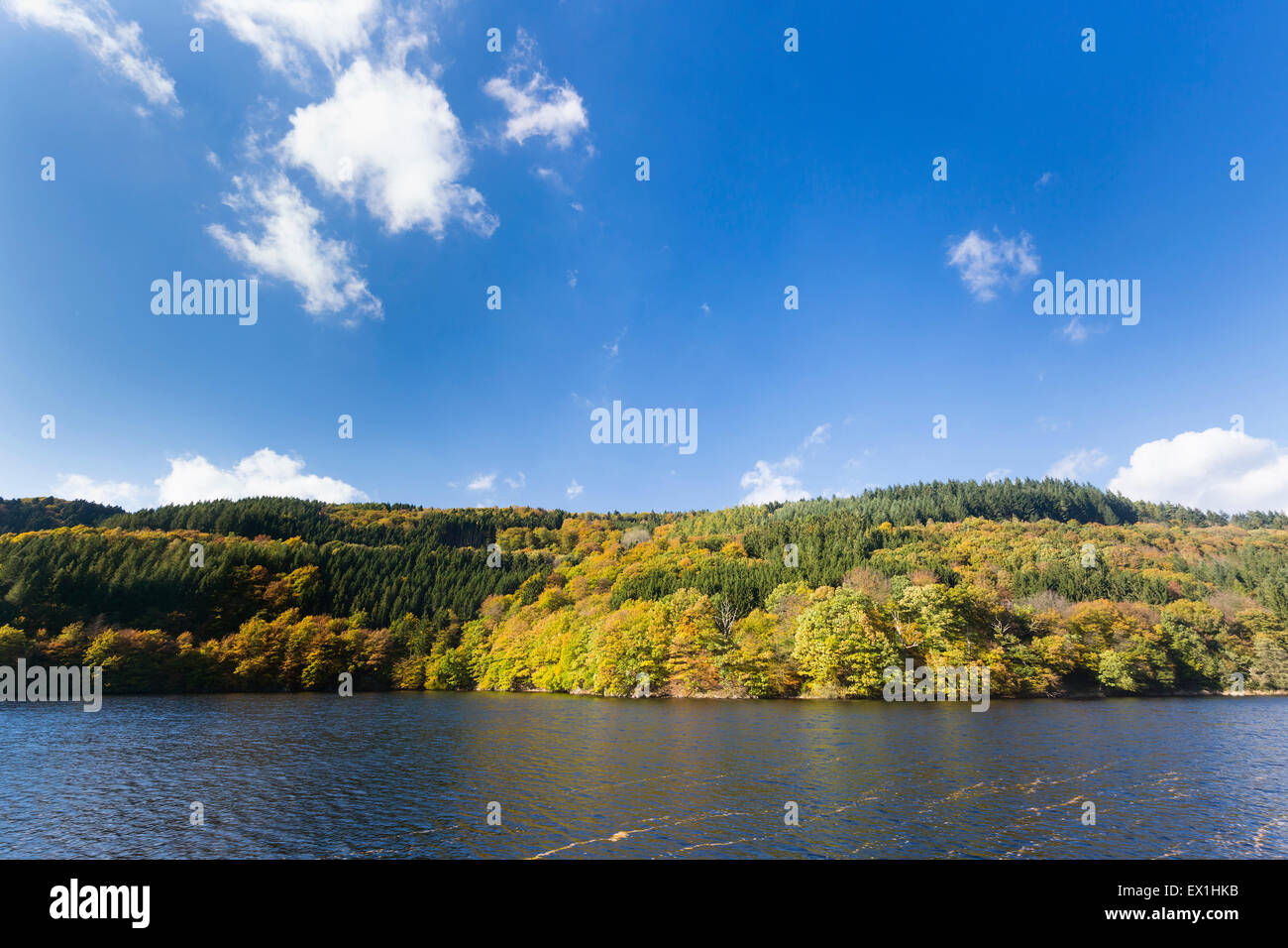 Lake Rursee Obersee shore with blue sky and sunlight in summer Stock ...