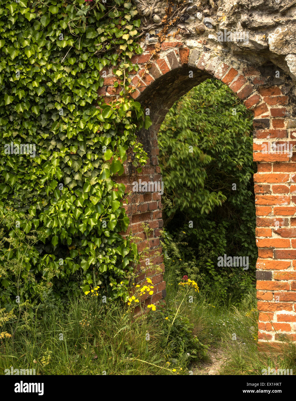 Roger bigod hi-res stock photography and images - Alamy