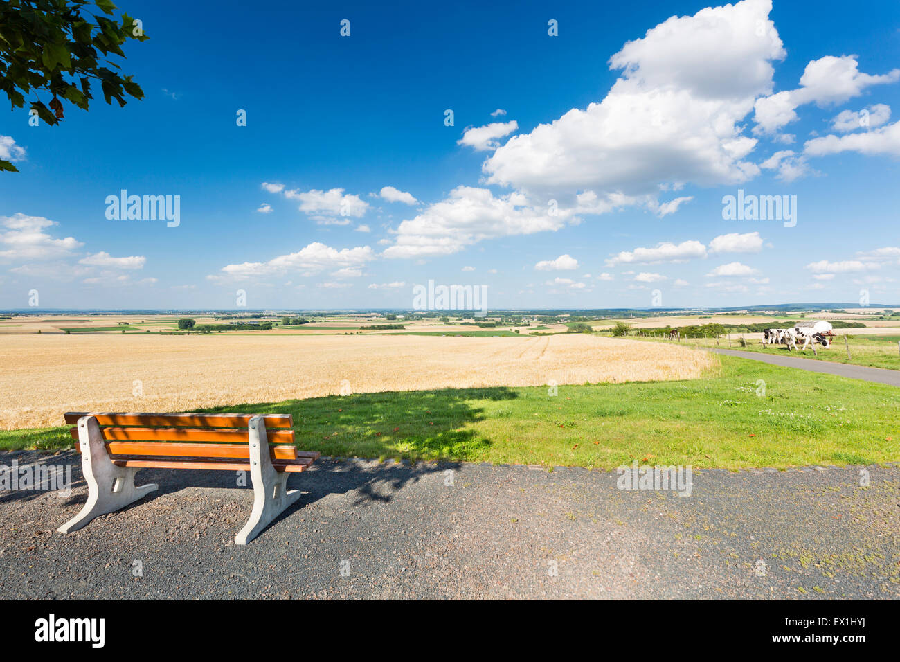 A bench overlooking beautiful landscape in the North Eifel in Germany ...