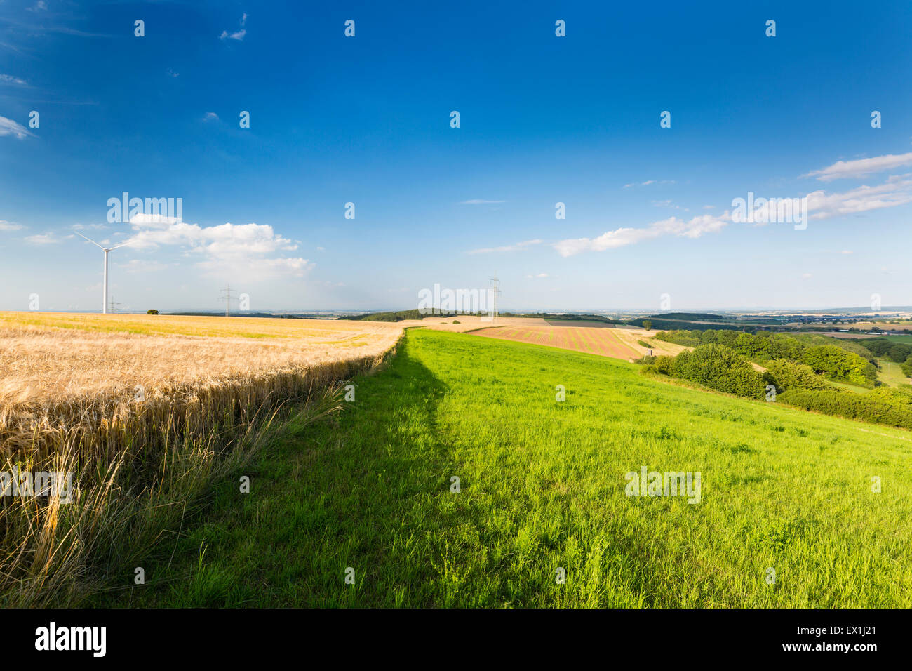 Beautiful landscape in the North Eifel in Germany, with a rye field in ...
