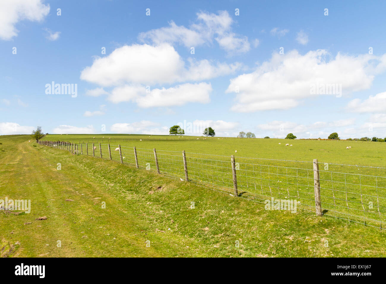 Pasture land hi-res stock photography and images - Alamy