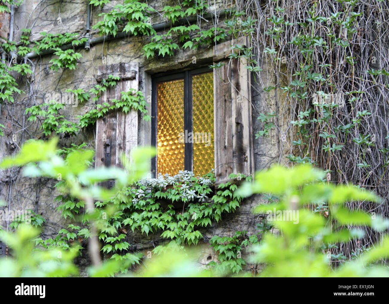 Stained shutters hi-res stock photography and images - Alamy