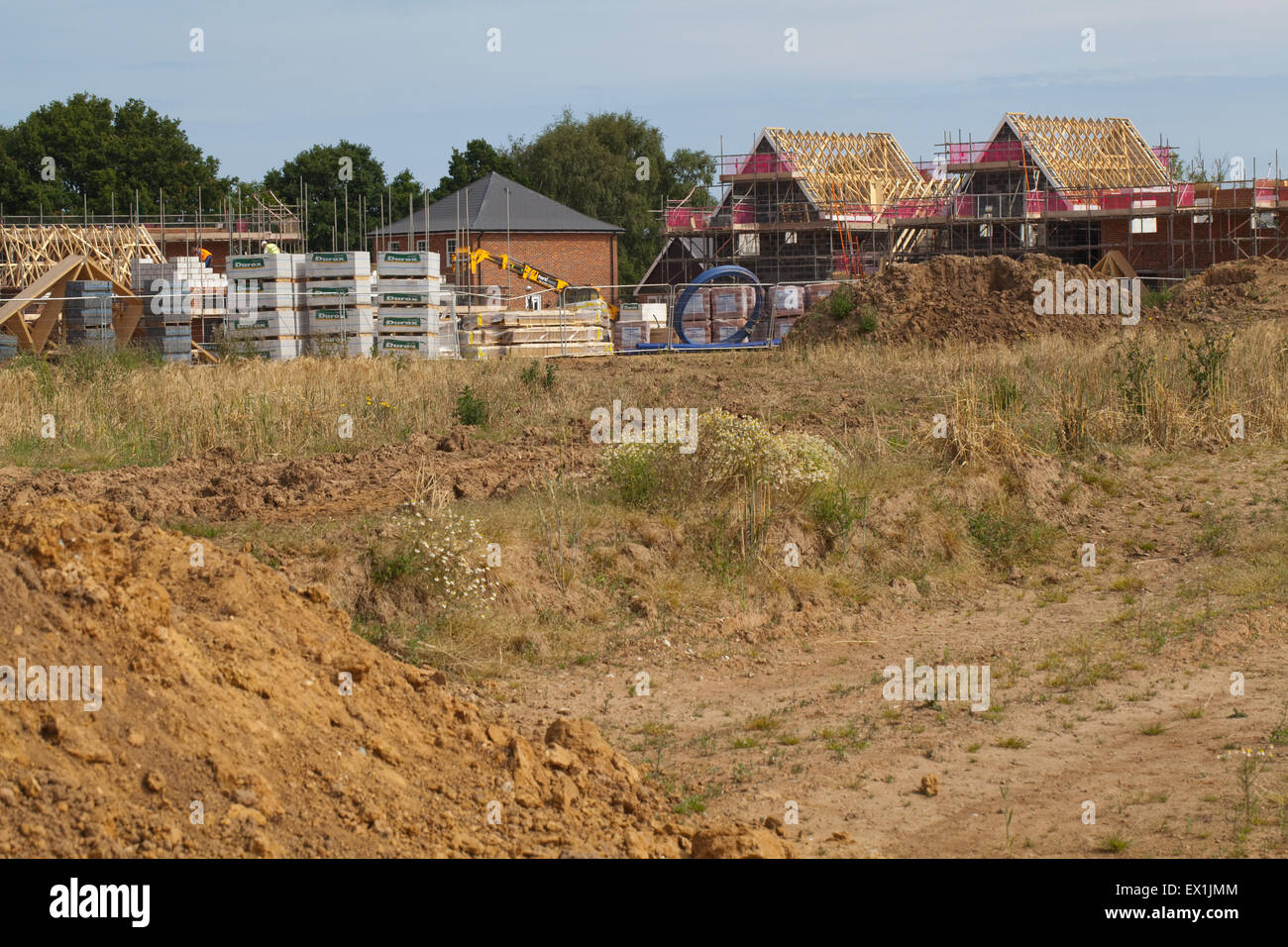 Expansion of homo sapiens hi-res stock photography and images - Alamy